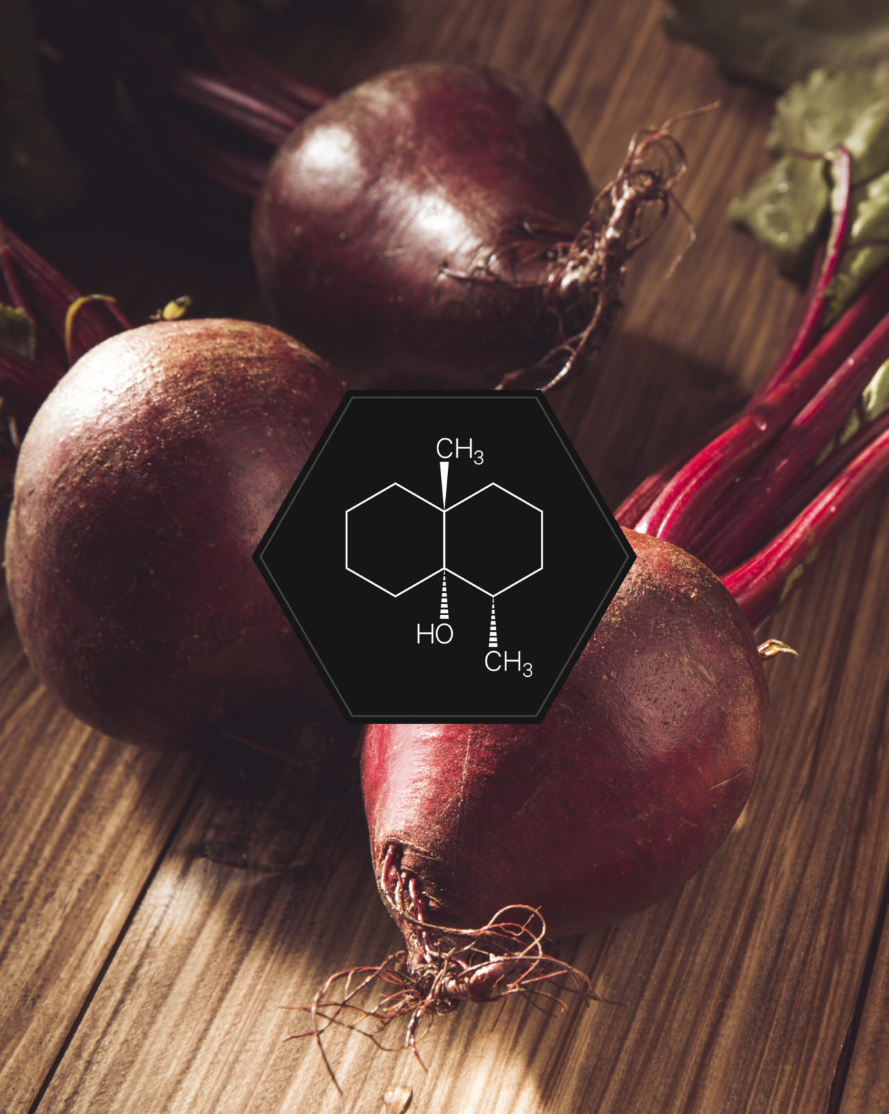 BETTERAVE ROUGE : VENIR DE LA TERRE ET SENTIR LA TERRE - François Chartier